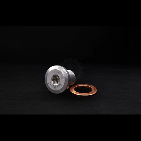 Gear oil drain plug Stark Varg | Ebikezilla